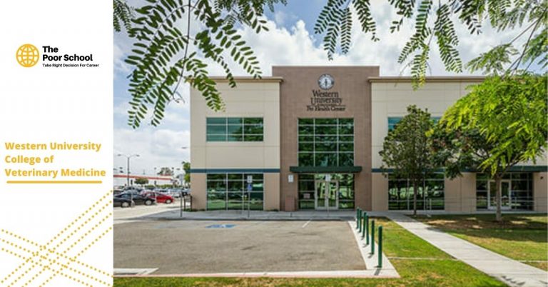 Best Vet Schools in California in 2025 | Updated